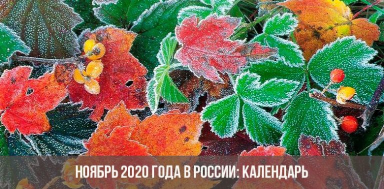 November 2020 in Russia: calendar, holidays, weekends, how to relax